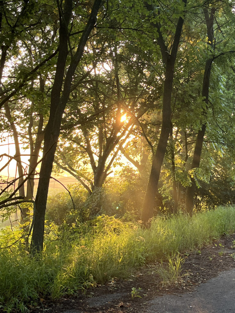 Pass It On – Outdoor Mentors Teams Up with Outdoor Heritage Education ...